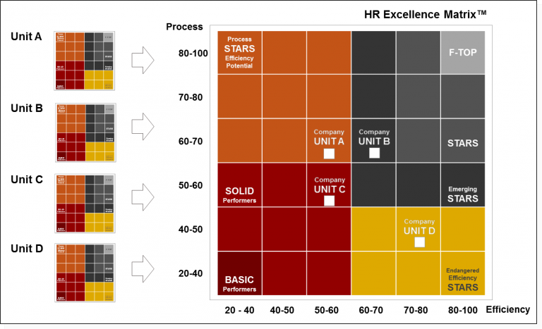 Group HR Excellence Matrix - F-Top Institute